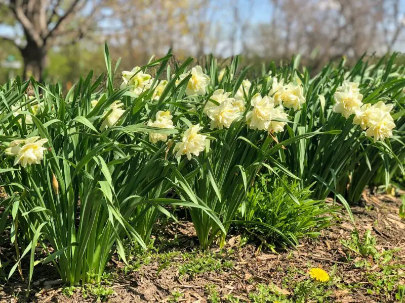 The Best Spring Hiking Trails in Minnesota for 2023 - Little Blue Backpack