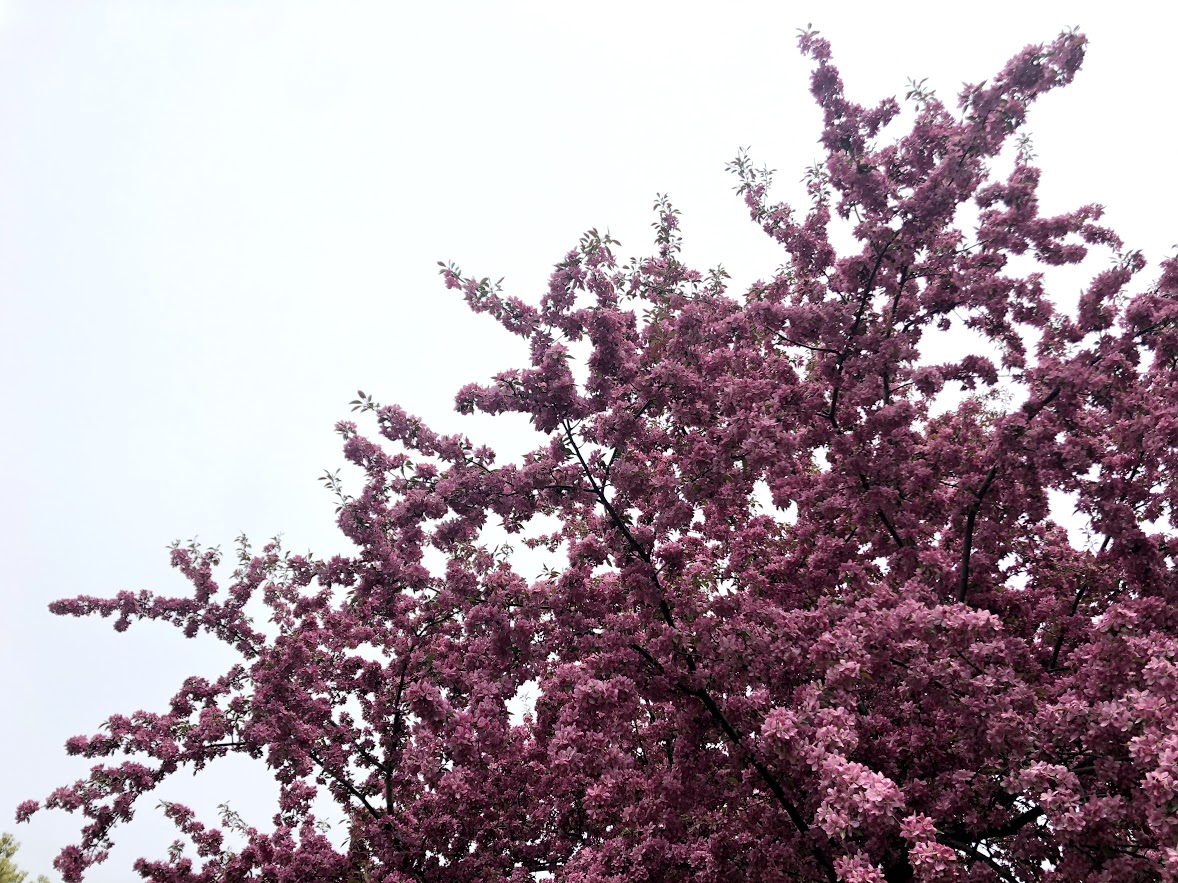 Minnesota Spring: 8 Places to Visit in 2023 - Little Blue Backpack