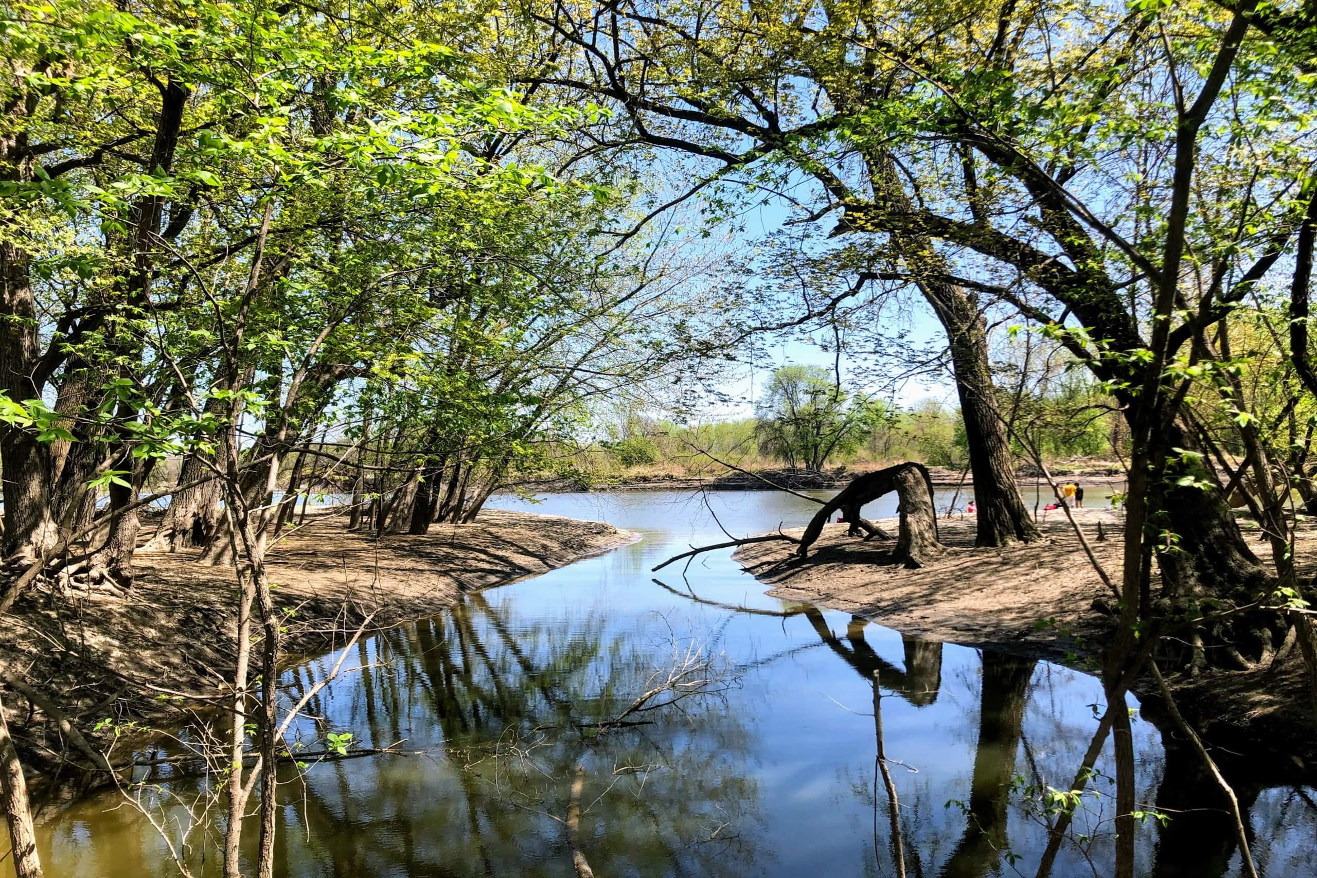 The Best Spring Hiking Trails in Minnesota for 2023 - Little Blue Backpack