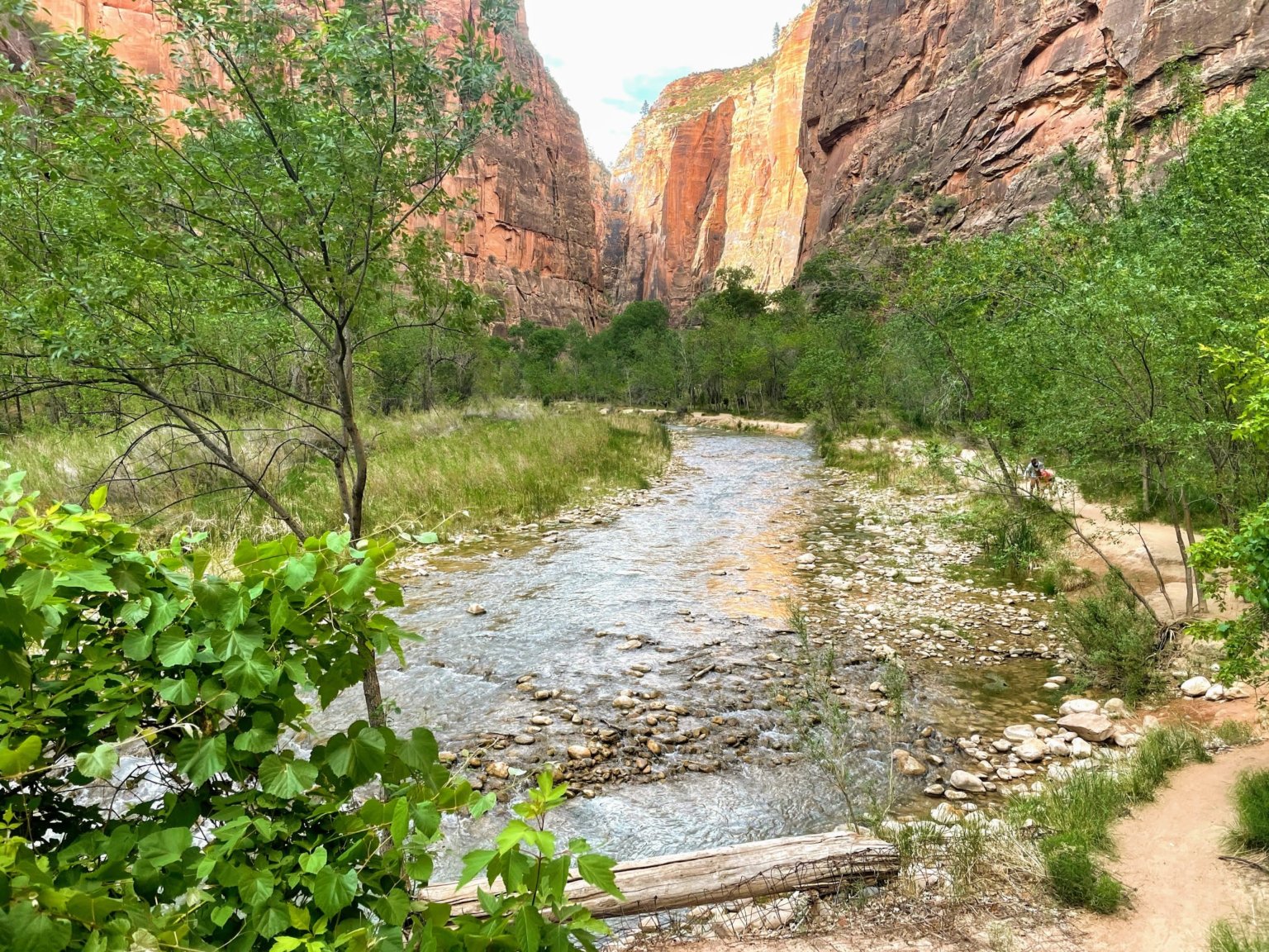 How to Spend Two Days at Zion National Park: What You Need to Know ...