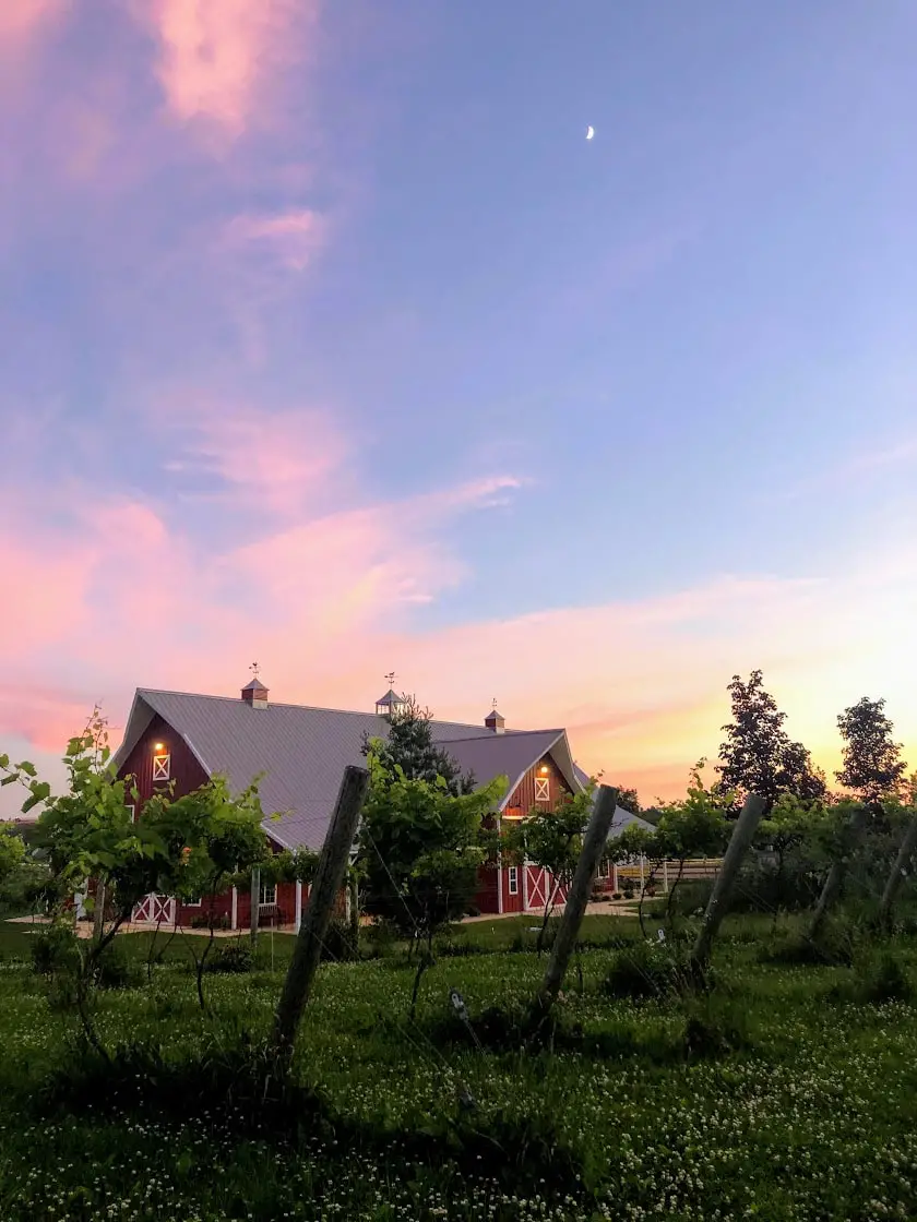 The Best Pizza Farms in Minnesota and Wisconsin - Little Blue Backpack