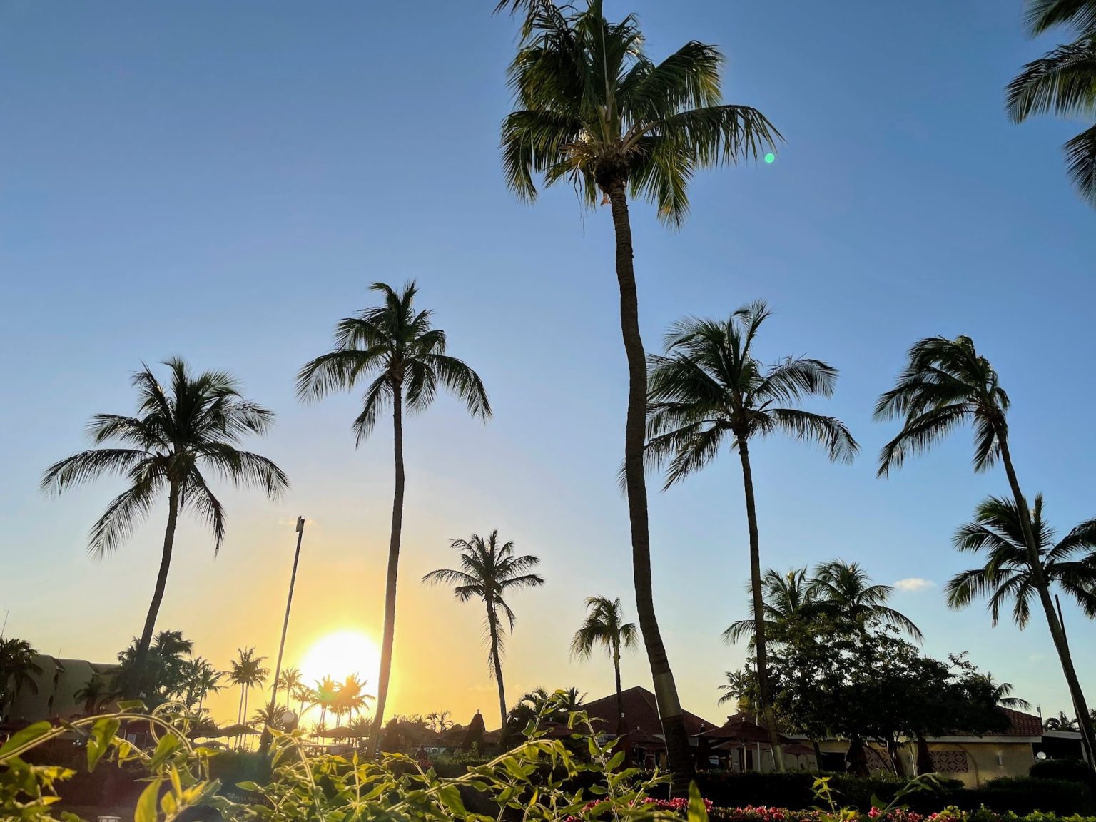 The Ultimate Aruba Itinerary: One Week Travel Guide - Little Blue Backpack
