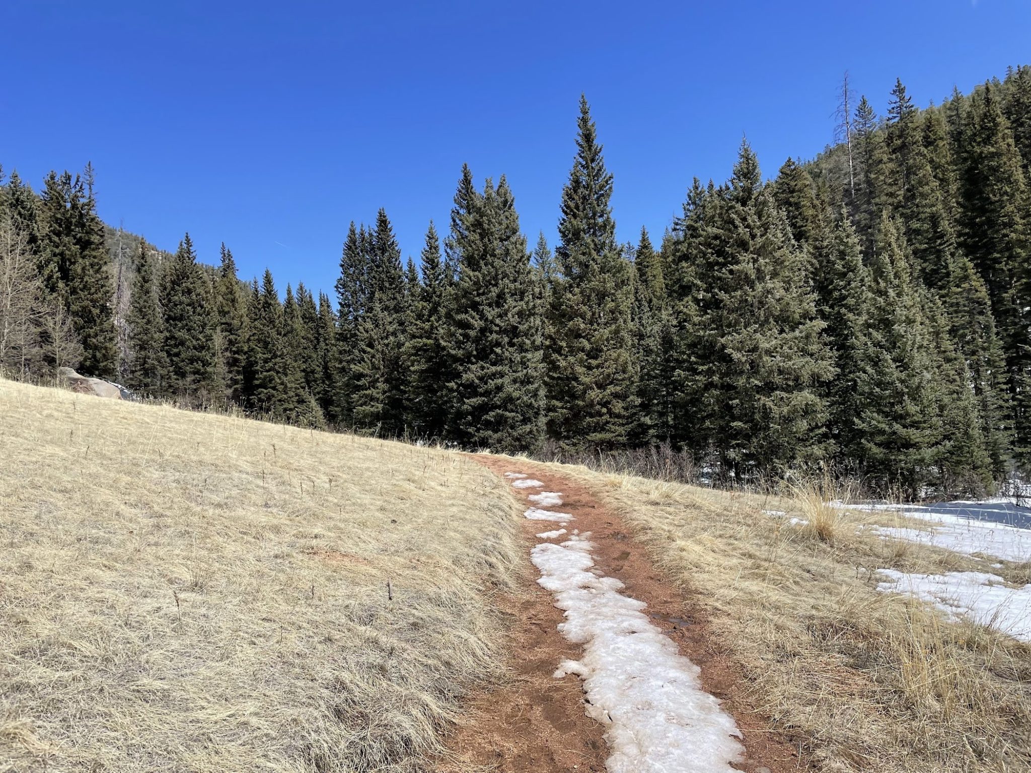 The Crags Hiking Guide: What You Need to Know (Divide, Colorado ...