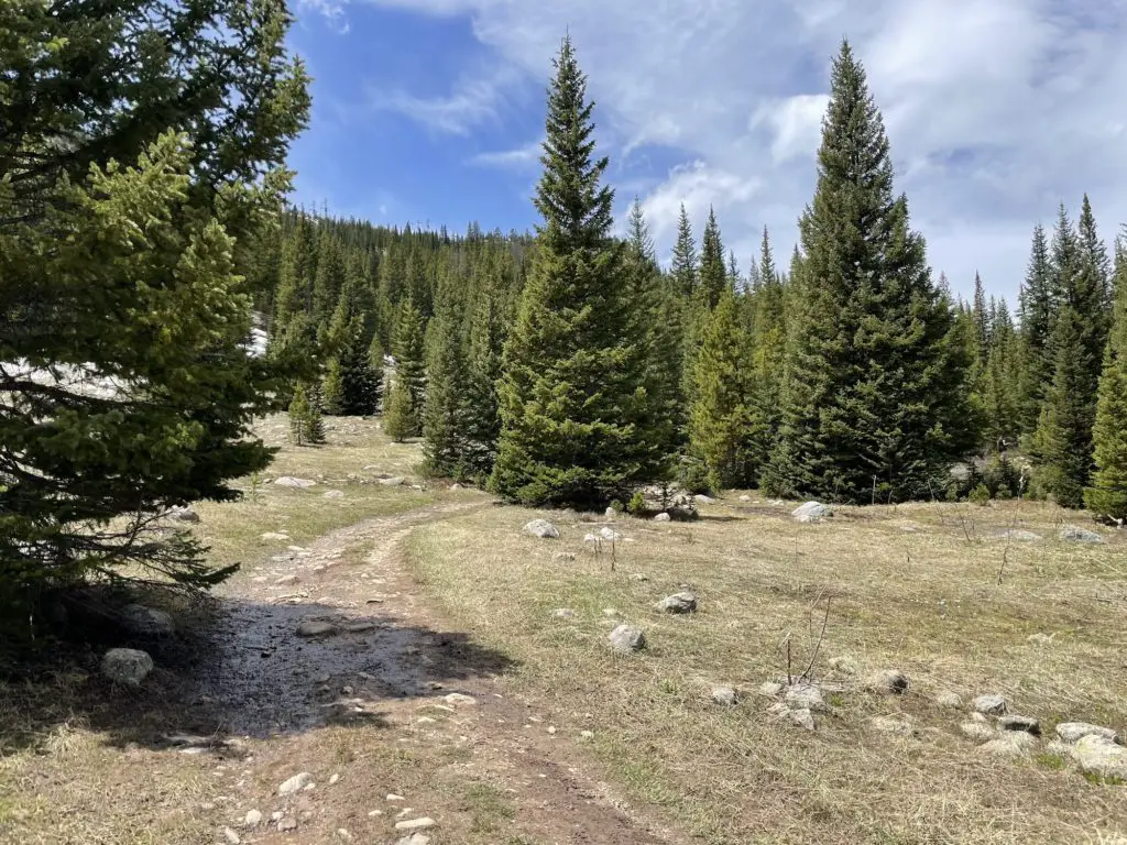 Timberline Lake Trail Hiking Guide: What You Need to Know (Leadville ...