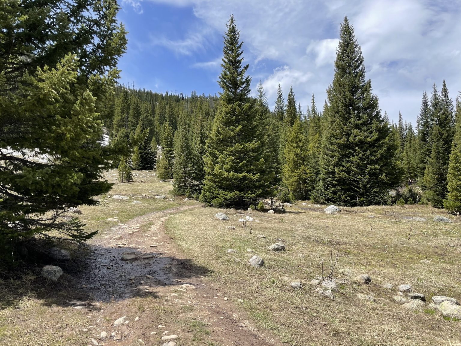 Timberline Lake Trail Hiking Guide: What You Need to Know (Leadville ...
