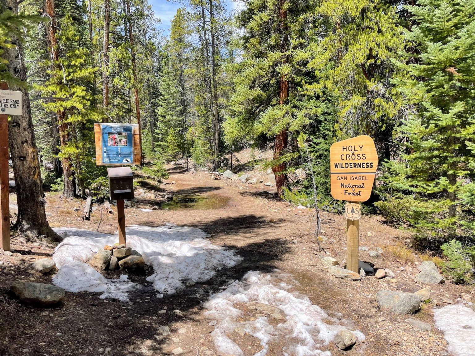 Timberline Lake Trail Hiking Guide: What You Need to Know (Leadville ...