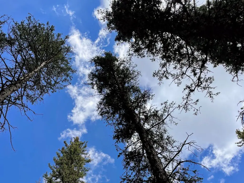 Pancake Rocks Hiking Guide: What You Need to Know (Cripple Creek ...