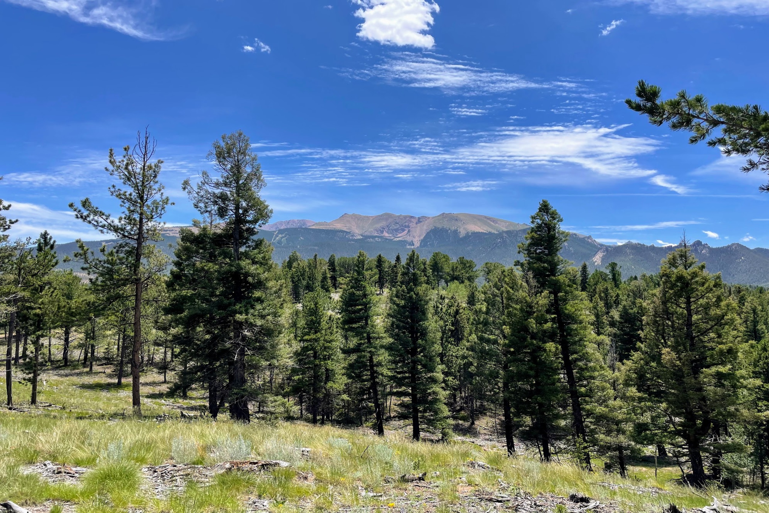 The Best Hikes in Divide, Colorado (45 mins from Colorado Springs ...