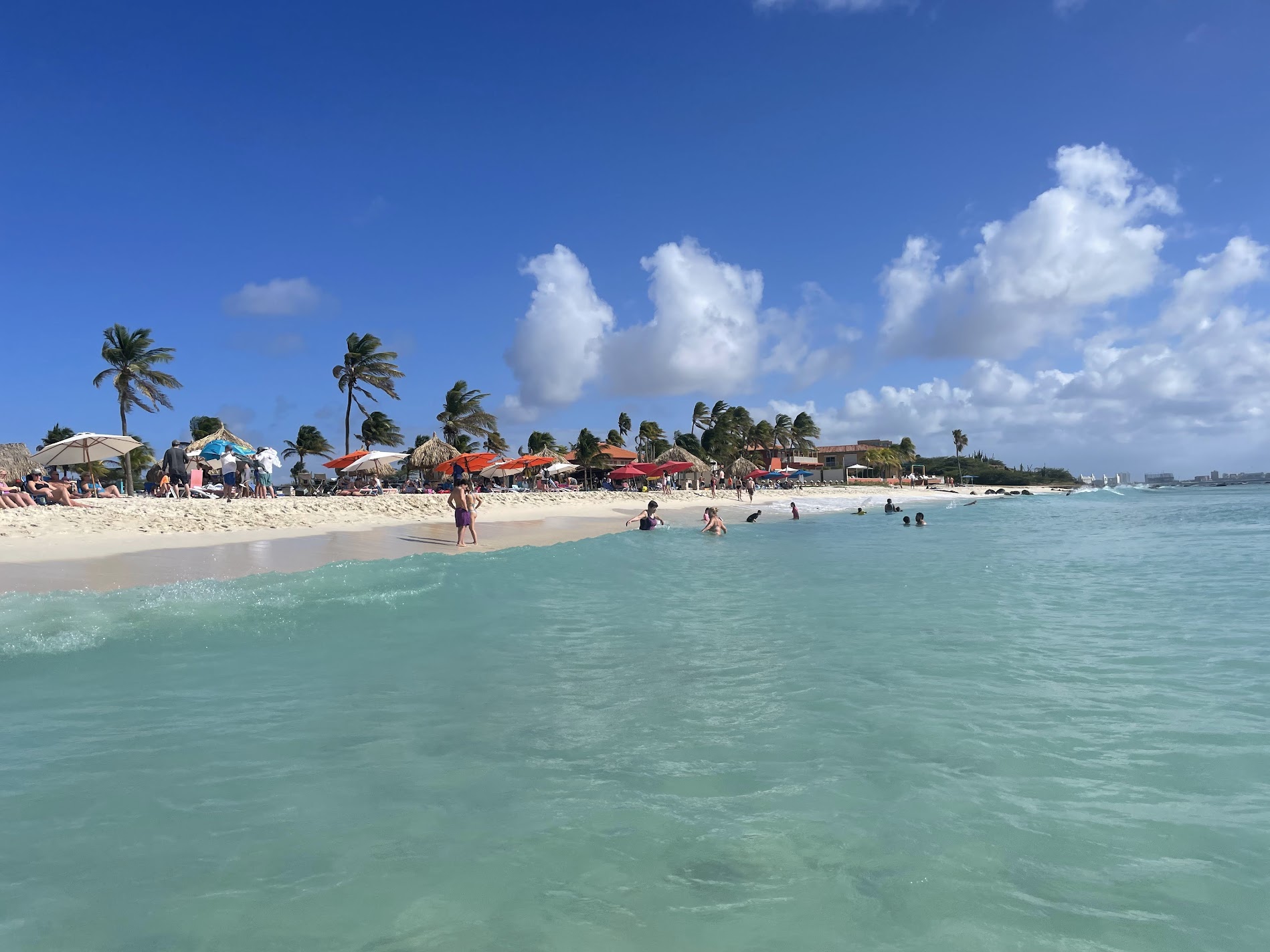 Aruba in February: What To Expect (Weather, Prices & More) - Little ...